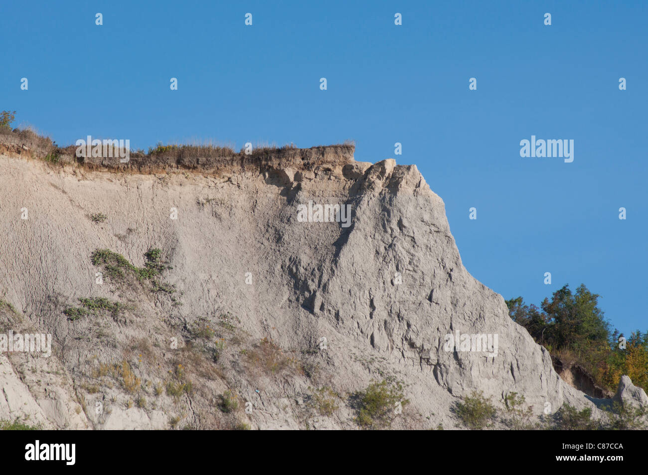 Cliff trees hi-res stock photography and images - Alamy