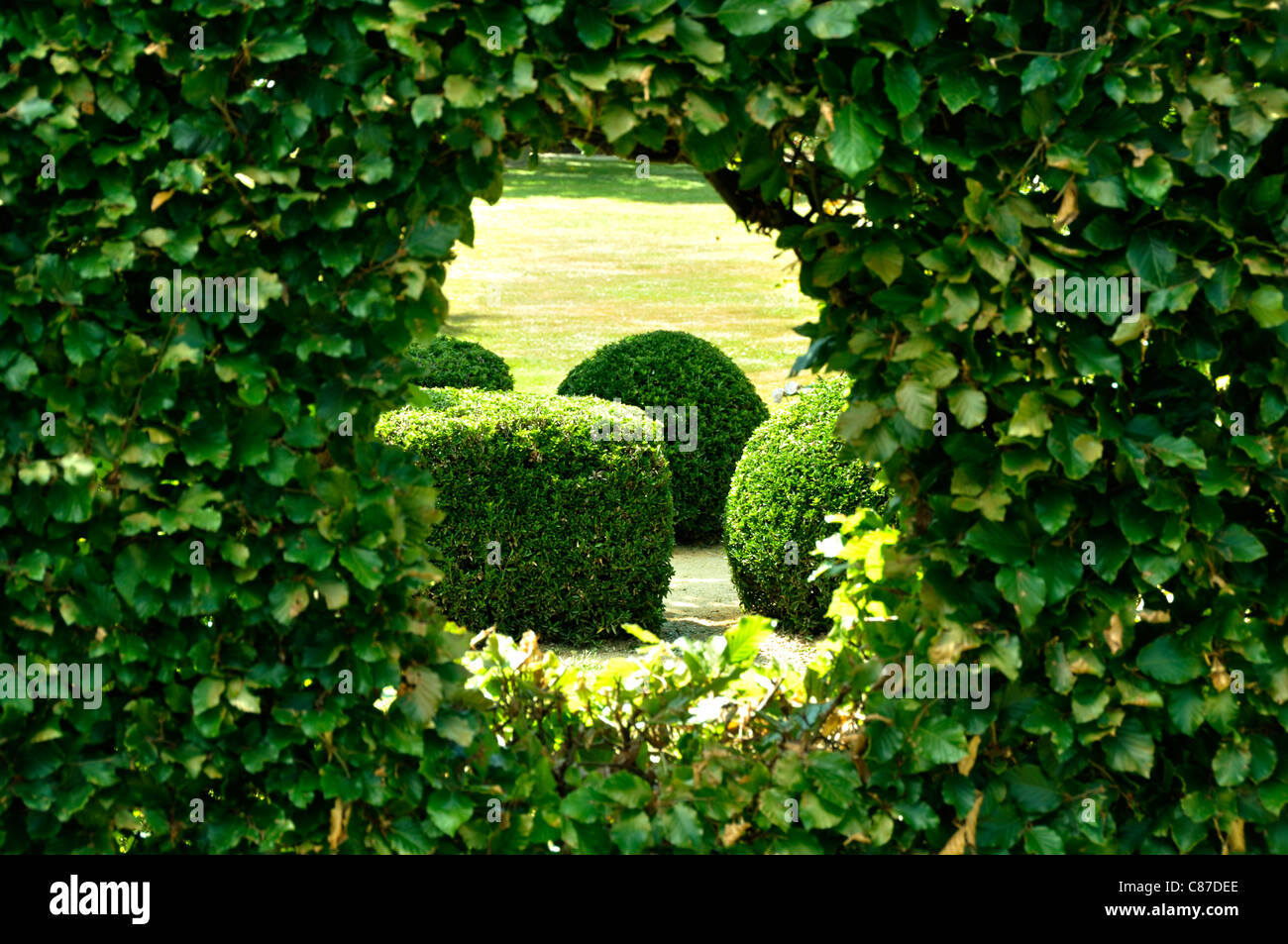 Opening in hedge hi-res stock photography and images - Alamy