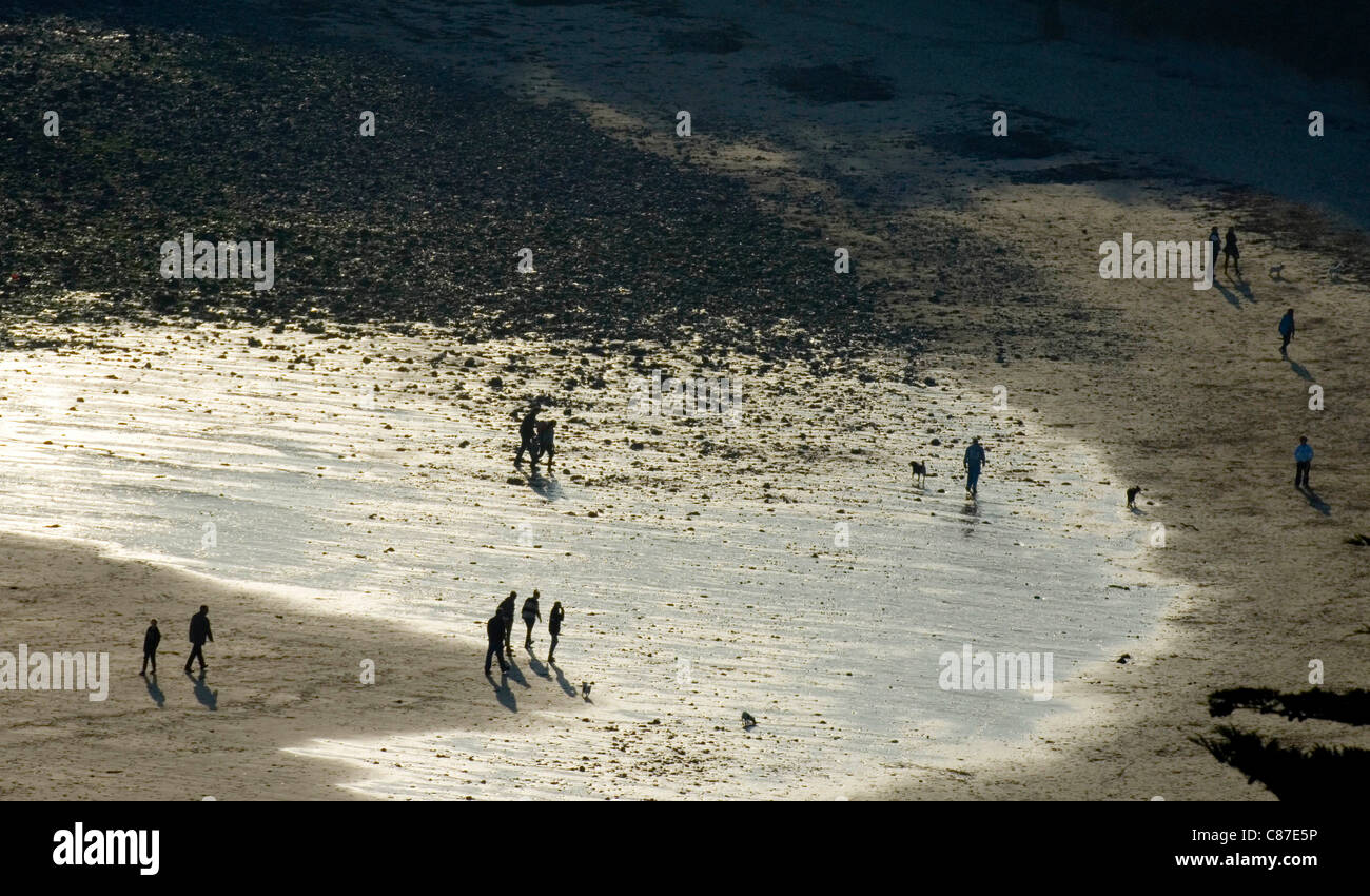 People making the most of the late afternoon sunshine at Langland Bay ...