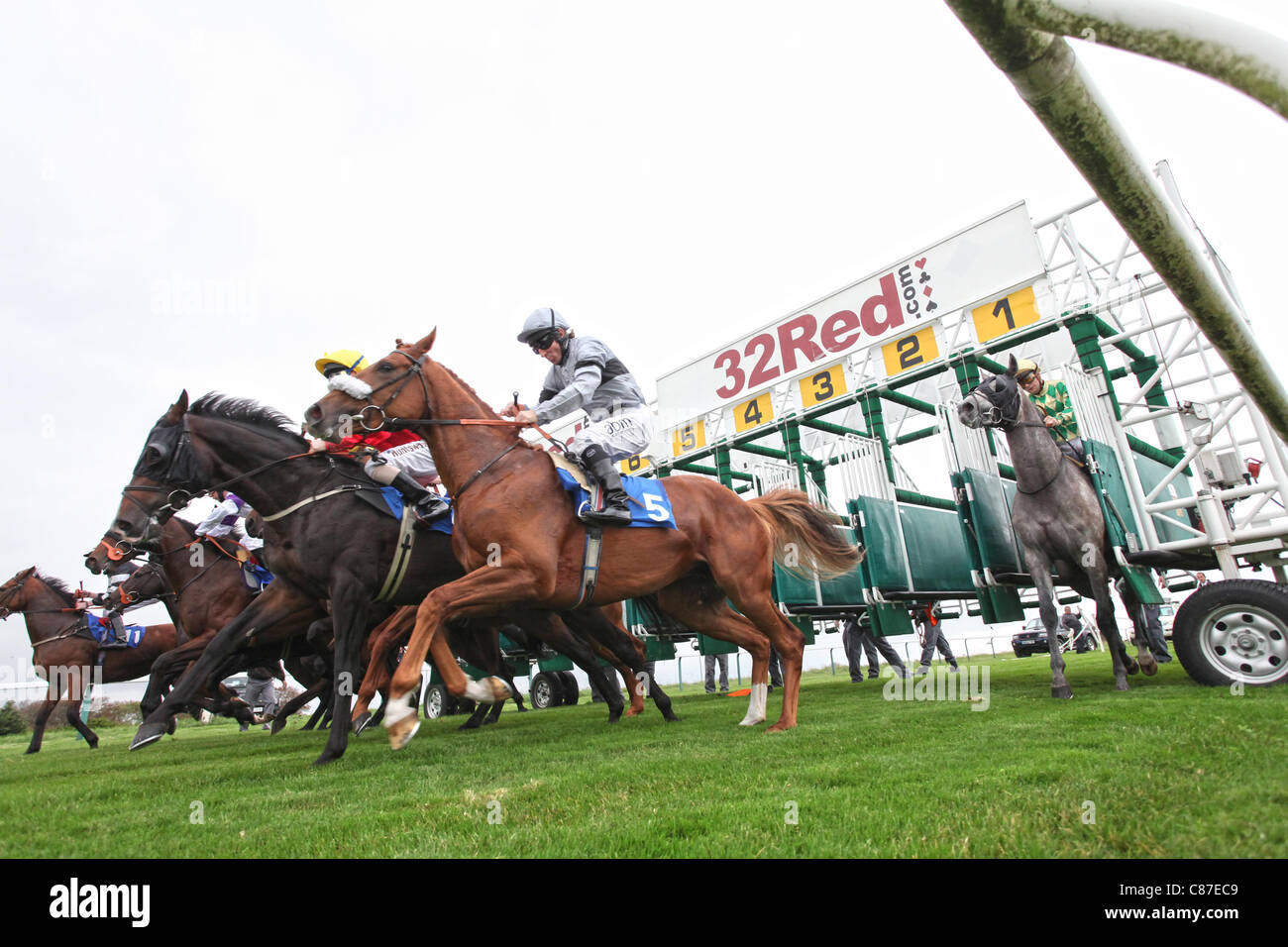 Runners and riders leave the stalls. Picture by James Boardman Stock ...