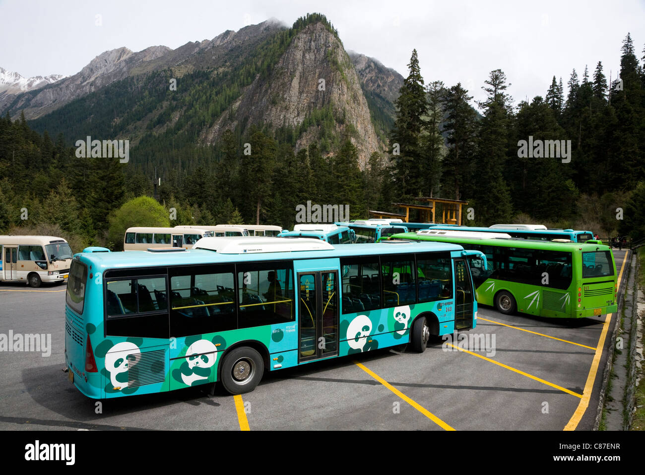 Tourist / tour / tourism bus / buses / coach / coaches which tour the ...