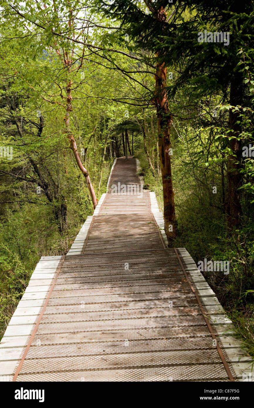 Walkway / pathway / foot path / footpath for walking tourists / walker ...