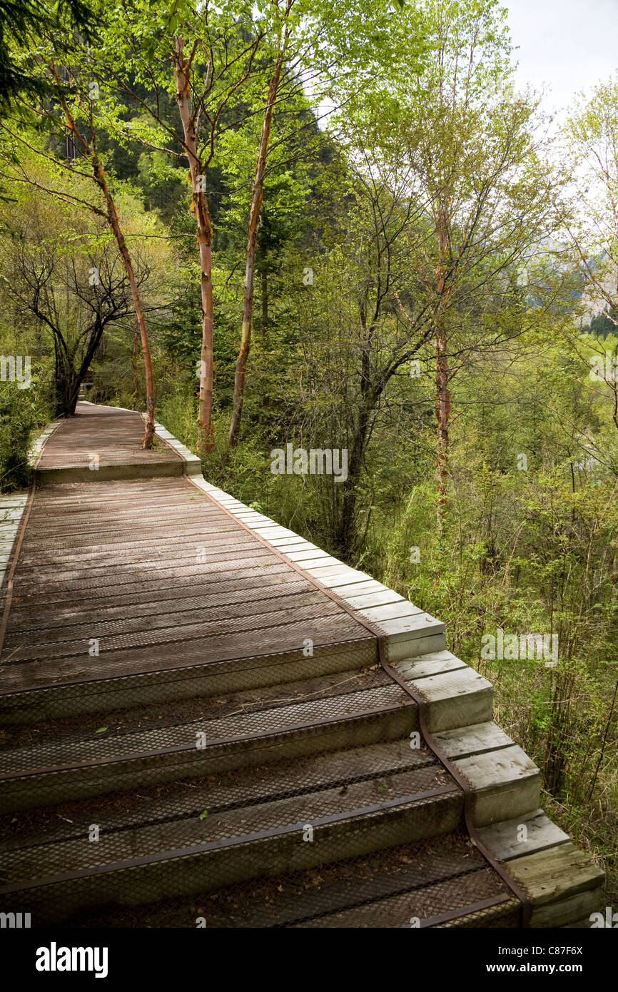 Walkway / pathway / foot path / footpath for walking tourists / walker ...