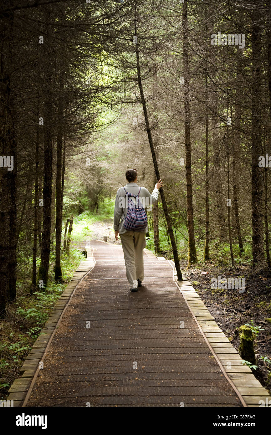 Walkway / pathway / foot path / footpath & tourist walker / walking ...