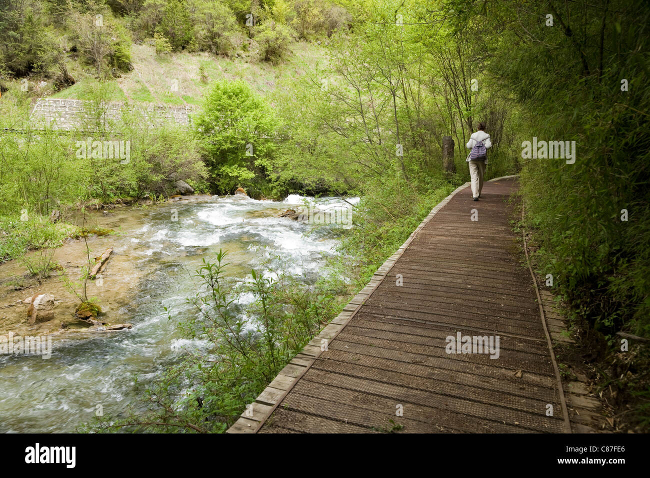 Walk Way Boardwalk Path Nature High Resolution Stock Photography and ...
