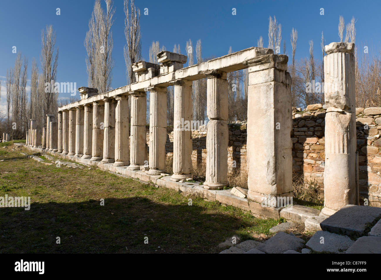 Stoa details from the Sebasteion at the Aphrodisias open air museum ...