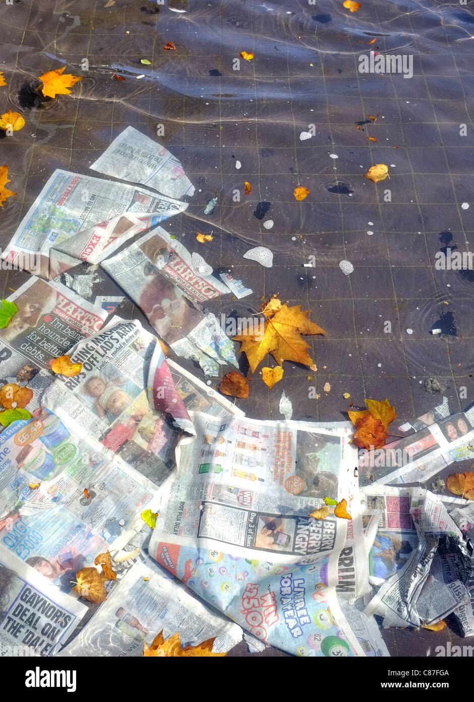 Newspapers and leaves floating in a pool of water Stock Photo - Alamy