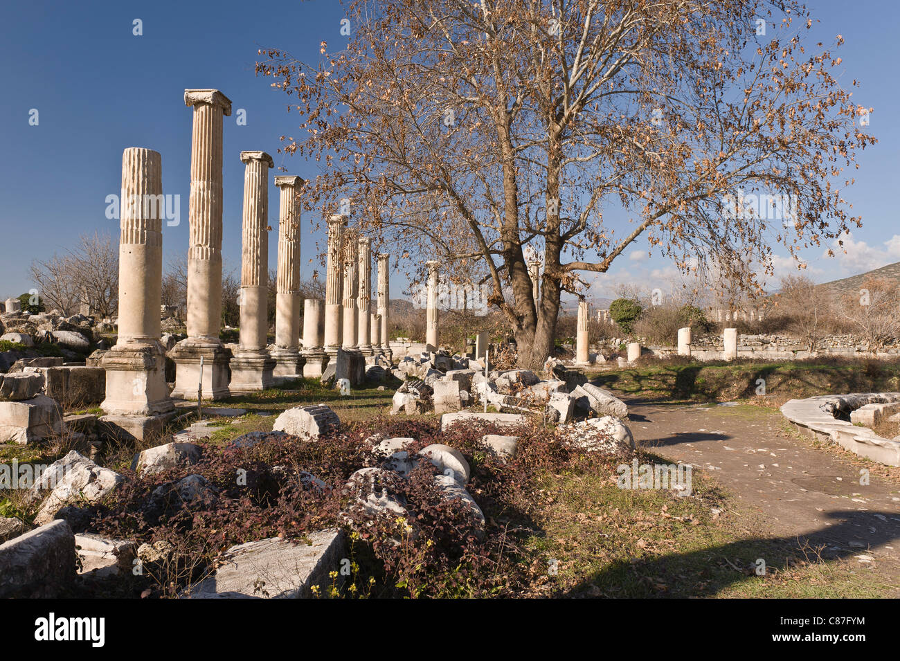 A view of the Portico of Tiberius at the Aphrodisias open air museum ...