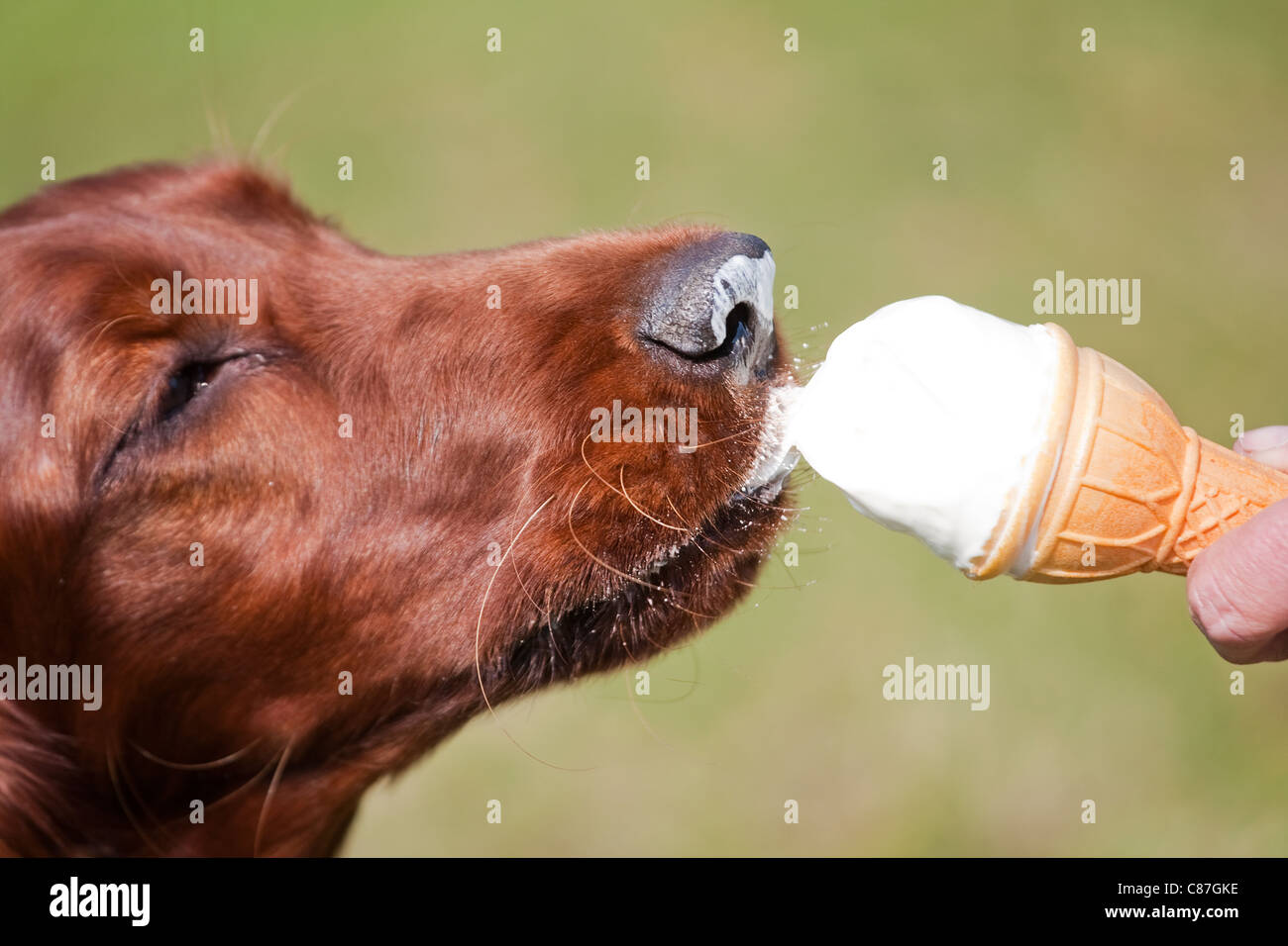 Irish ice cream hi-res stock photography and images - Alamy