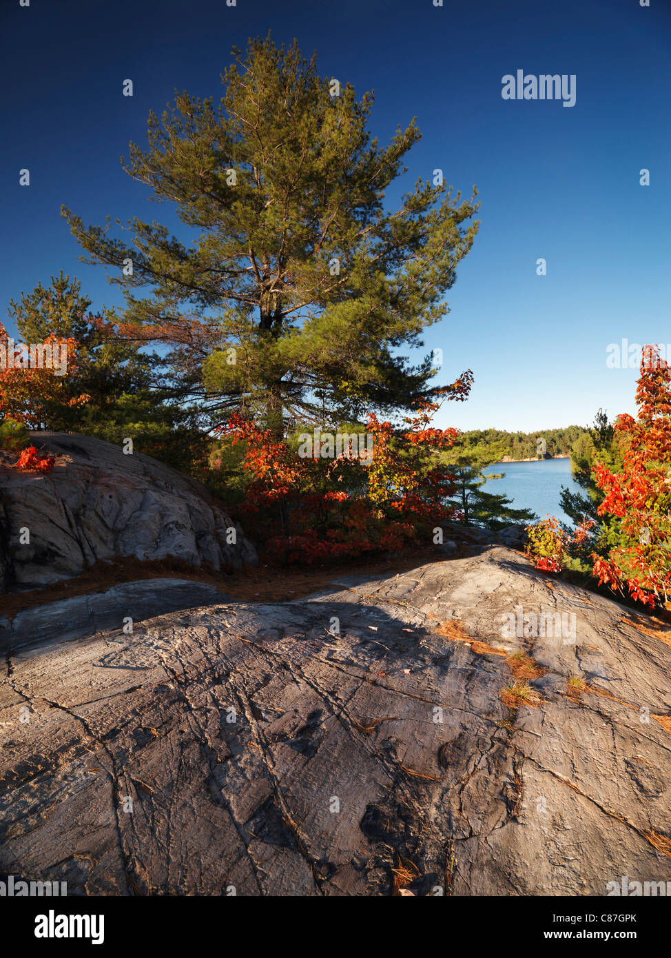 Beautiful sunset autumn nature scenery of Killarney Provincial Park ...