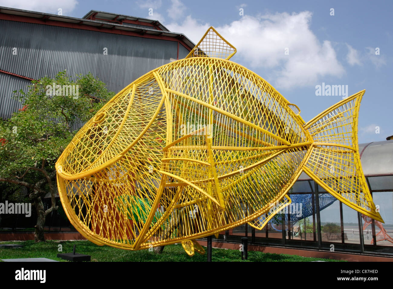 Miriti hi-res stock photography and images - Alamy