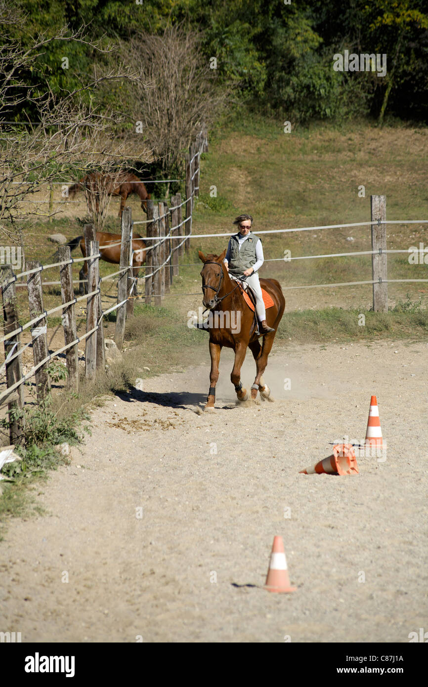 Horse and rider, horse riding, horseback riding, middle aged, woman ...