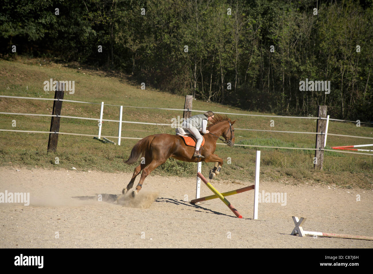 Horse jumping, jump, jumps, Horse and rider, horse riding, horseback ...
