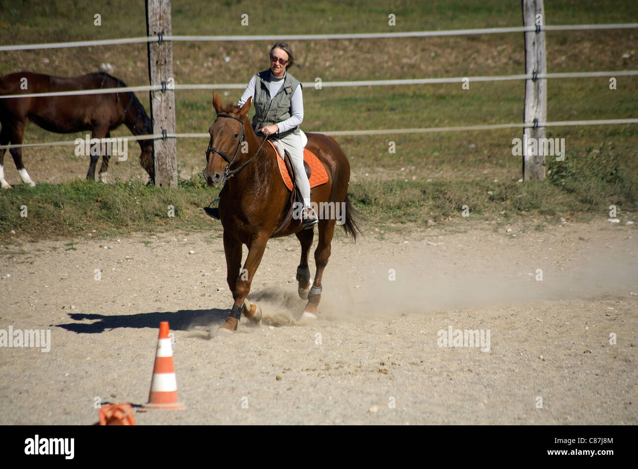 Horse and rider, horse riding, horseback riding, middle aged, woman ...