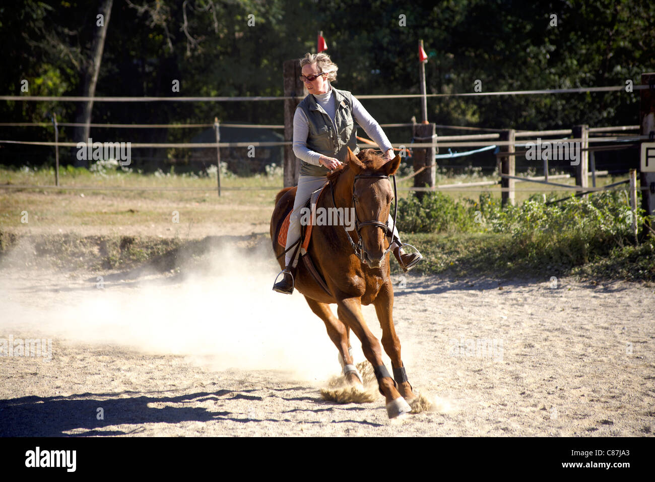 Horse and rider, horse riding, horseback riding, middle aged, woman ...
