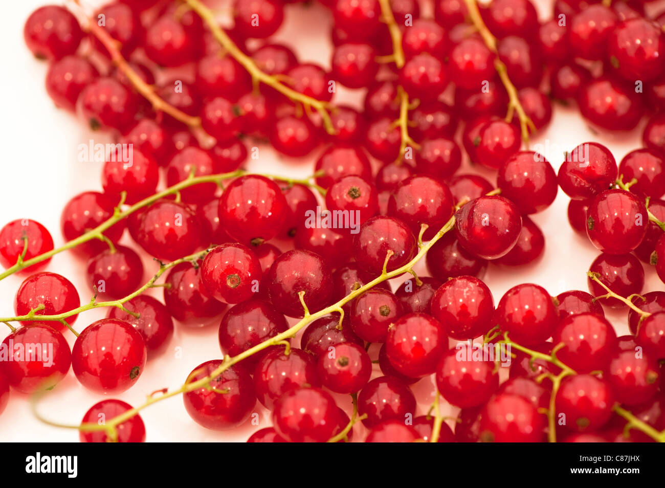 Ribes rubrum flower hi-res stock photography and images - Alamy