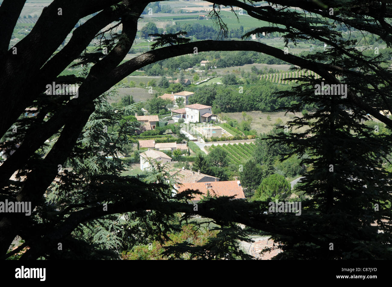 Cedar trees homes hi-res stock photography and images - Alamy