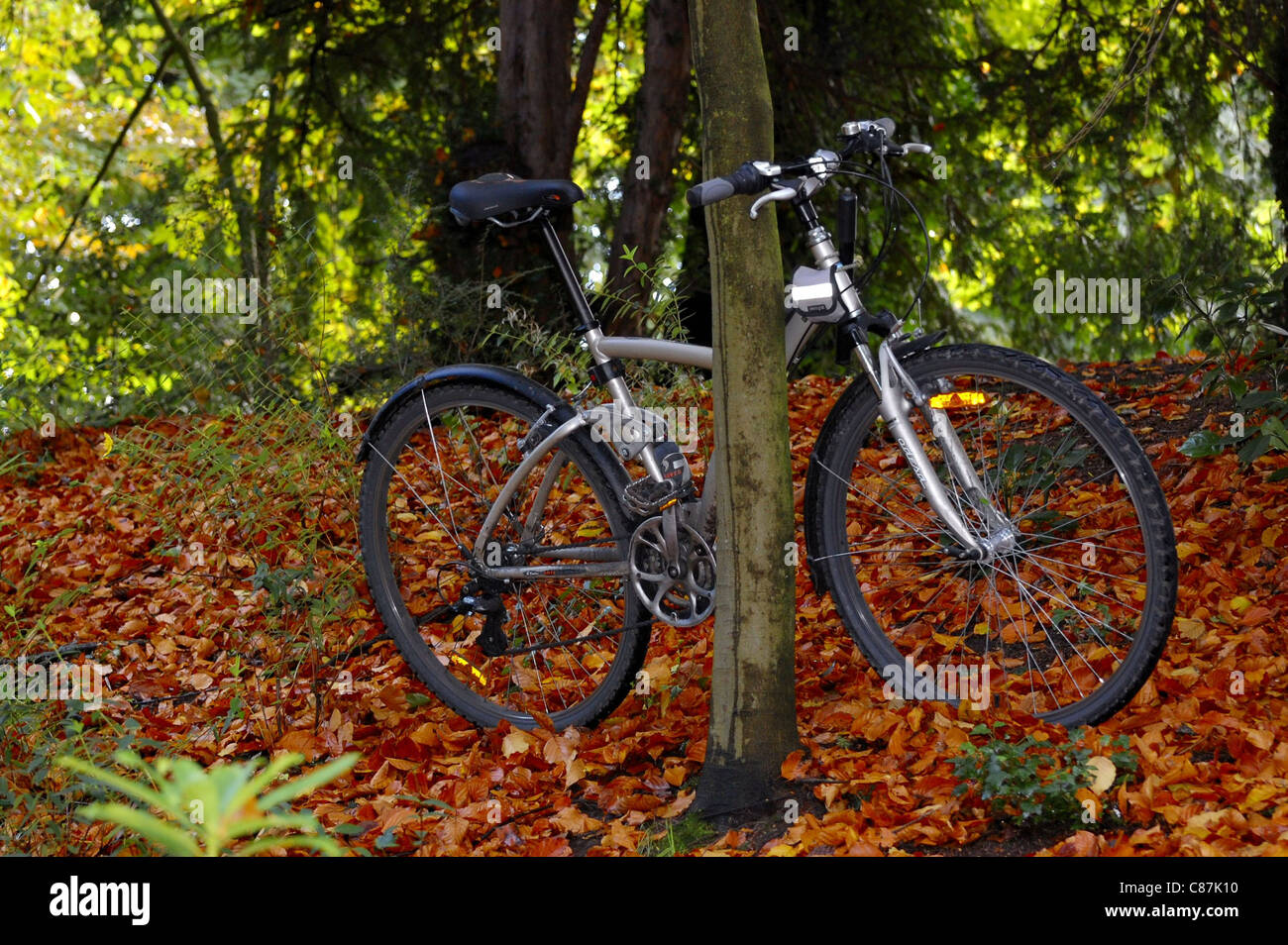 Bed bike hi-res stock photography and images - Alamy