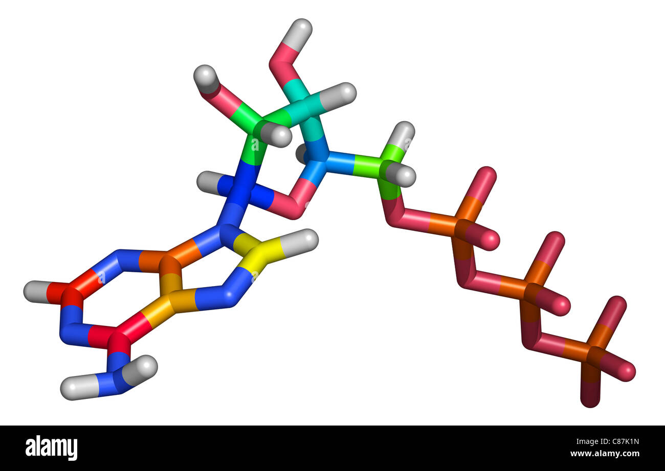 Molecule of Adenosine Triphosphate, or ATP Stock Photo - Alamy