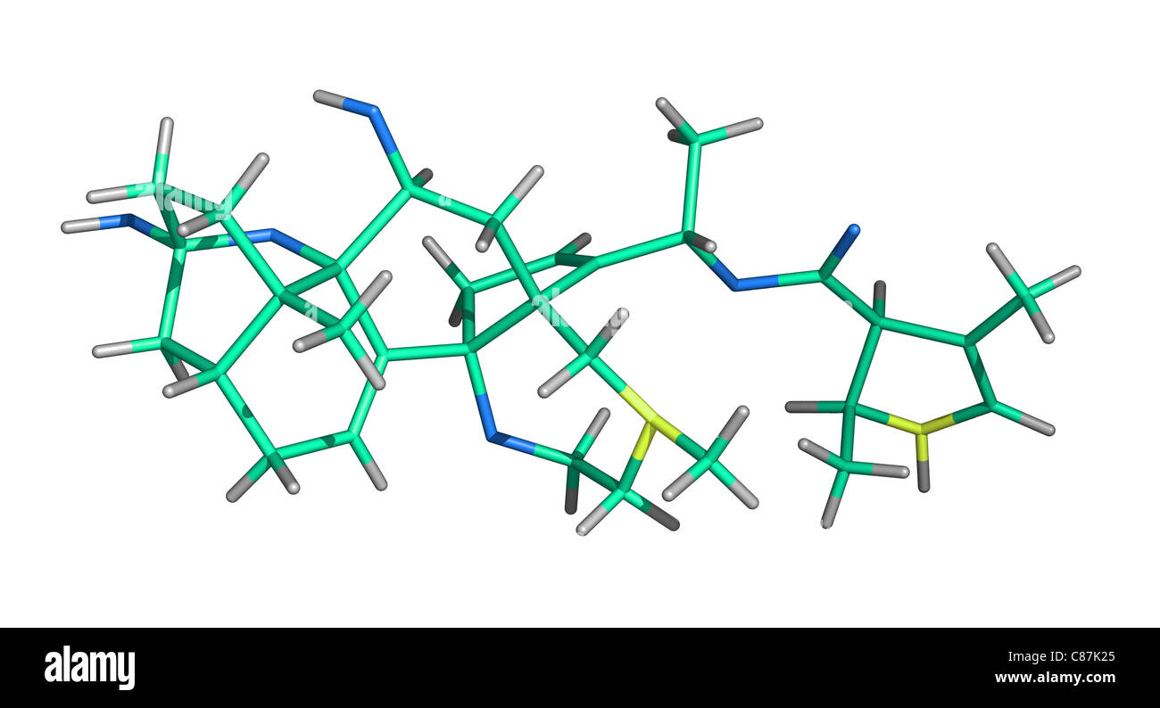 Batrachotoxin from a Golden Poison Frog - Phyllobates terribilis Stock ...