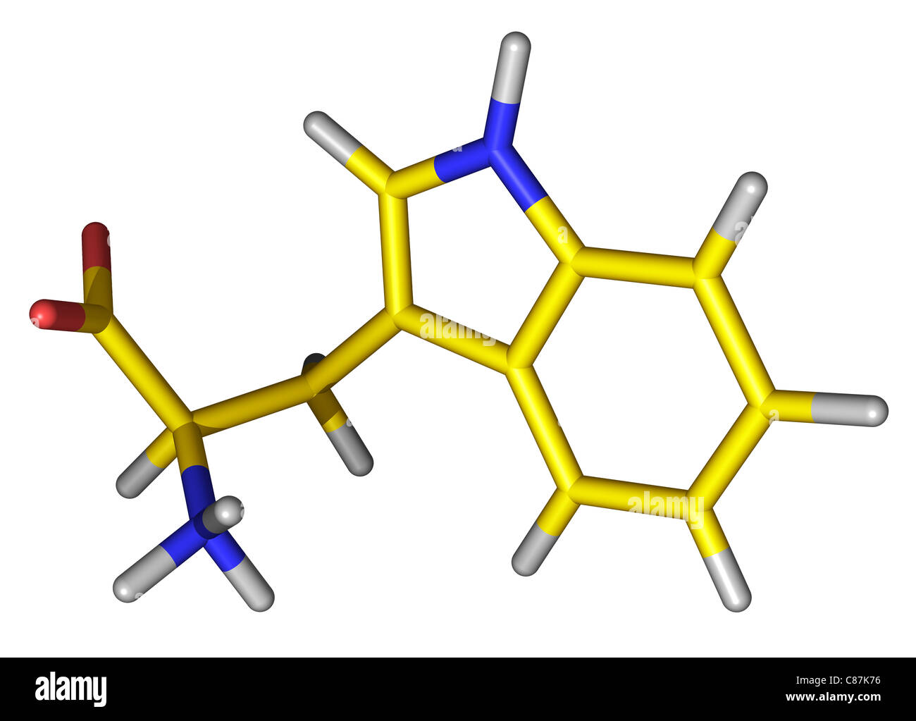 Essential Amino Acid Tryptophan Molecule Stock Photo - Alamy