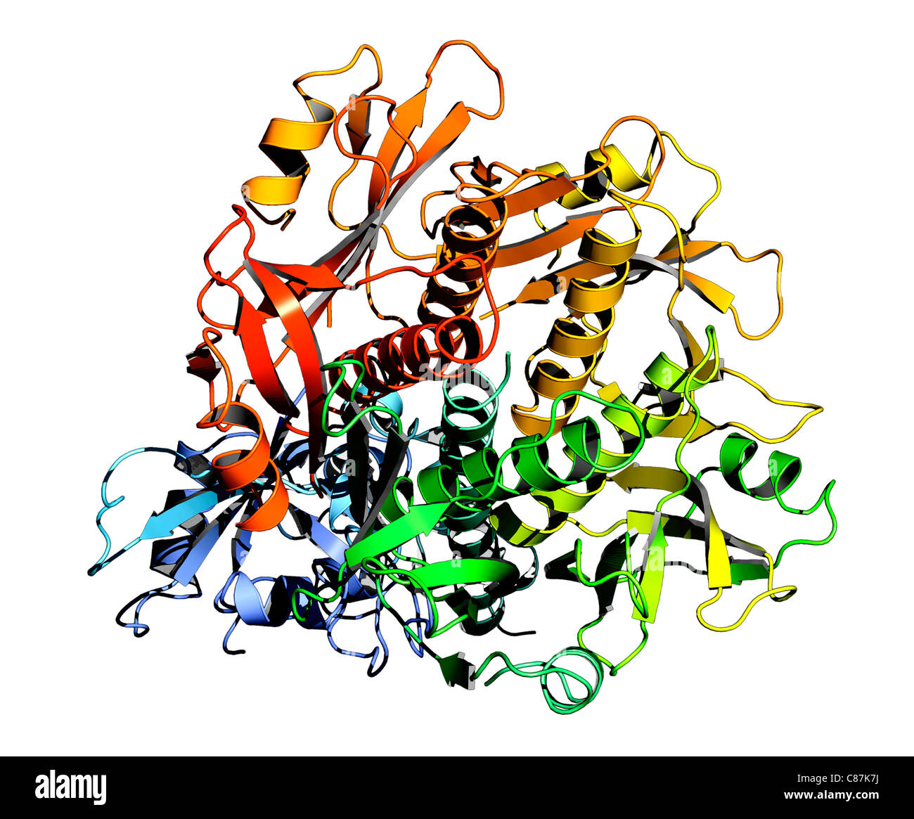 Myoglobin molecule hi-res stock photography and images - Alamy