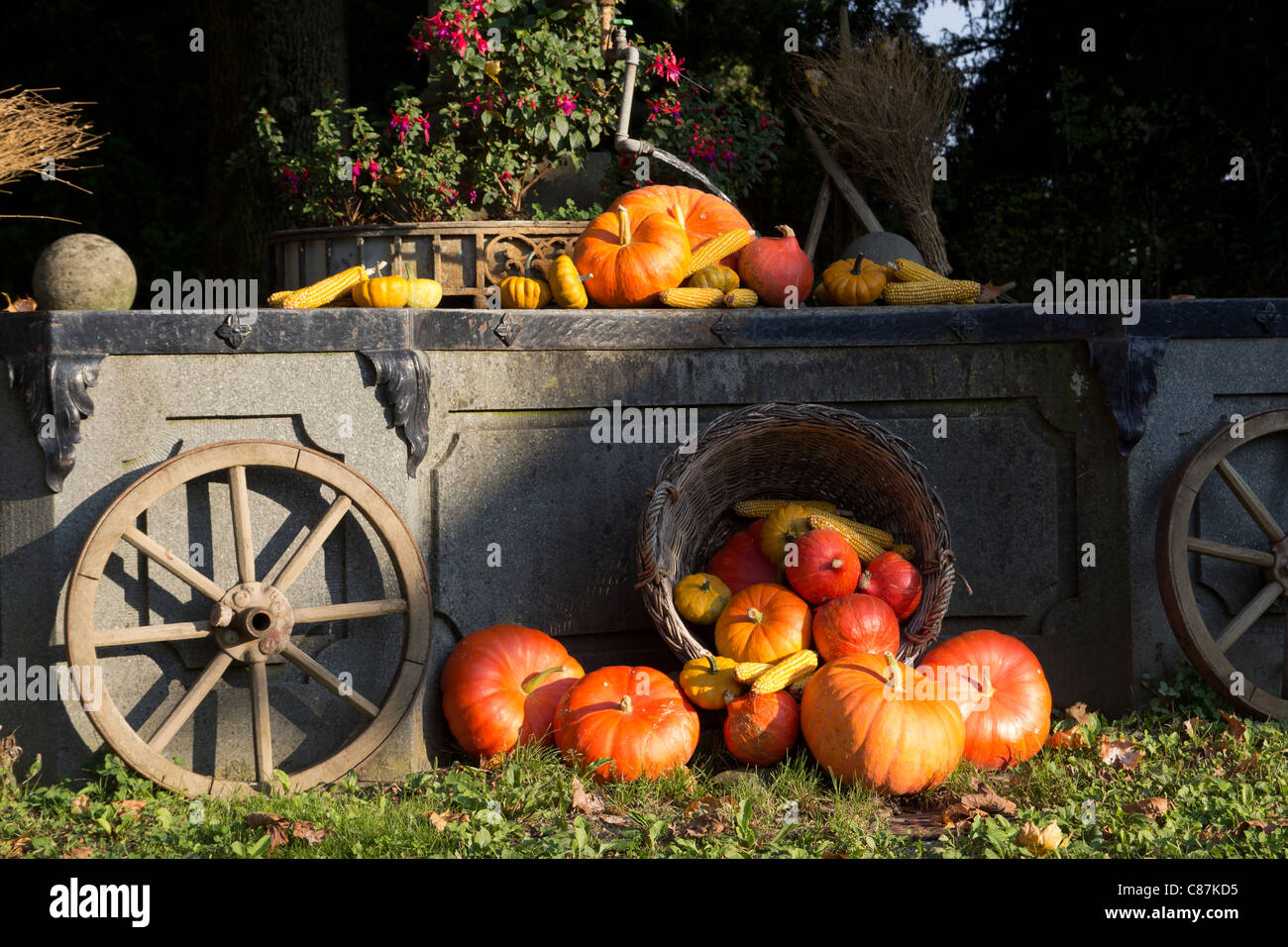 Ready to harvest time hi-res stock photography and images - Alamy