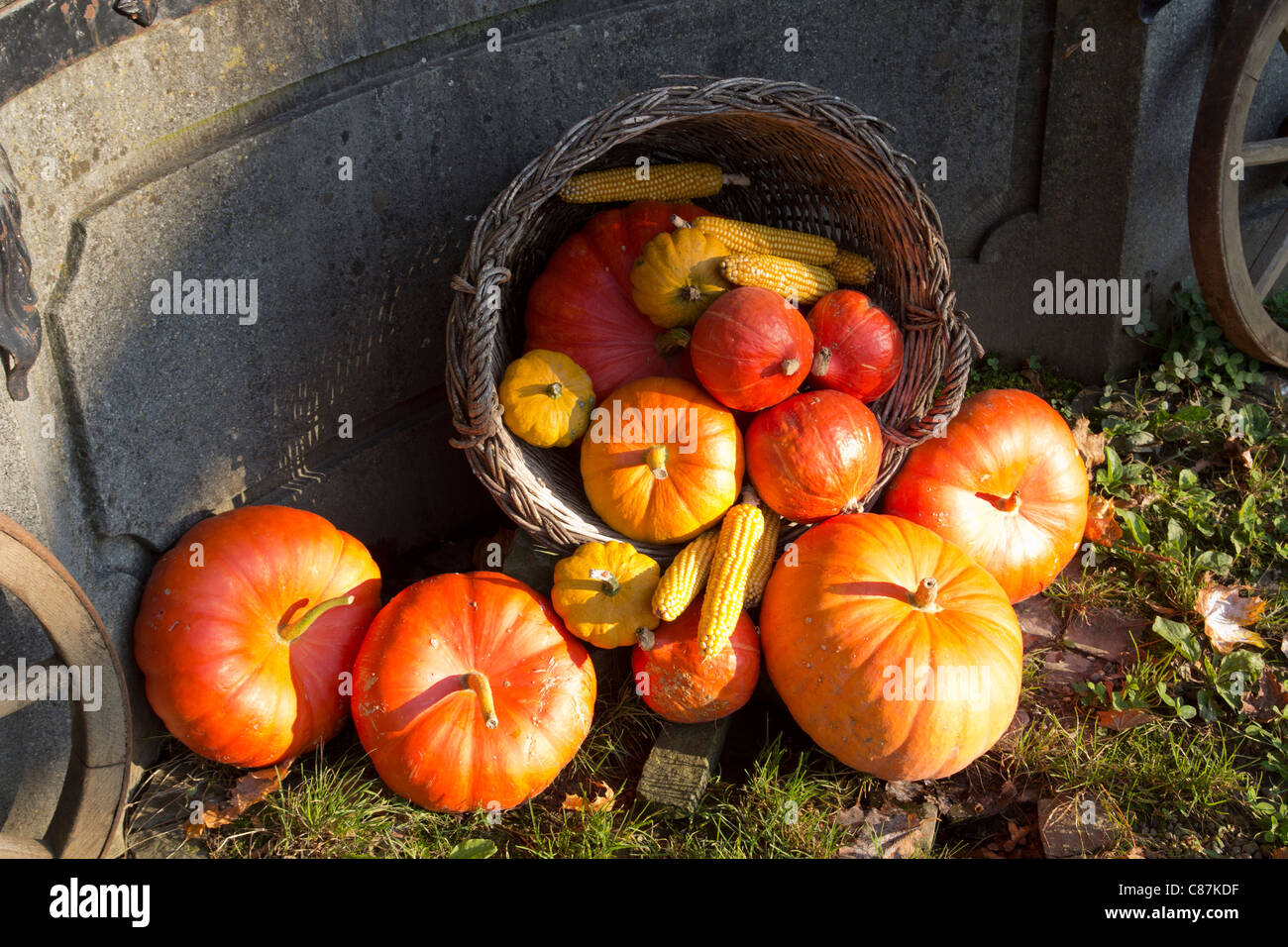 Ready to harvest time hi-res stock photography and images - Alamy