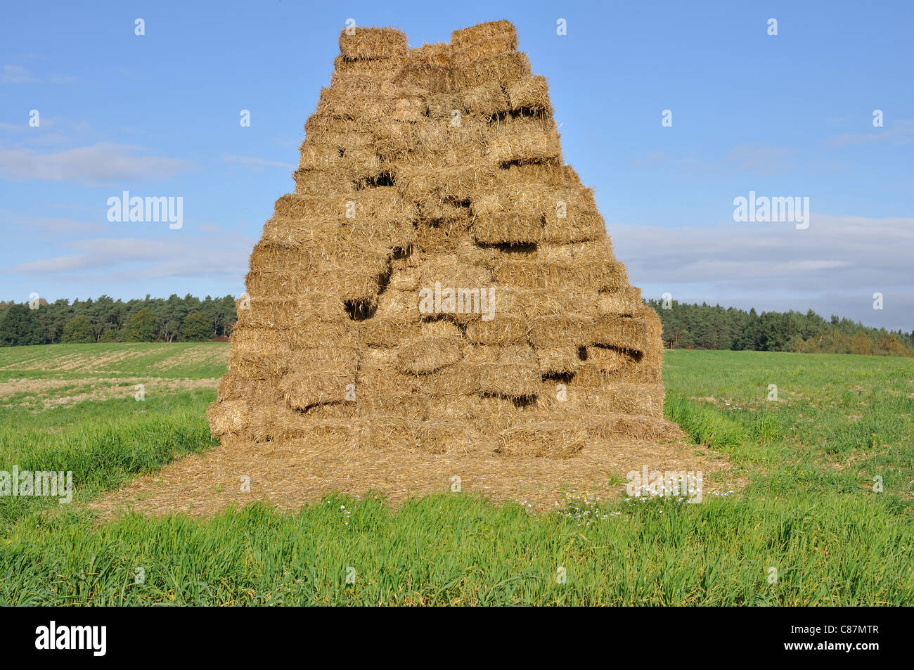 Sheaf of hay hi-res stock photography and images - Alamy