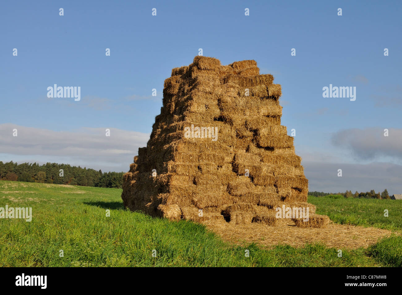 Sheaf field hi-res stock photography and images - Alamy