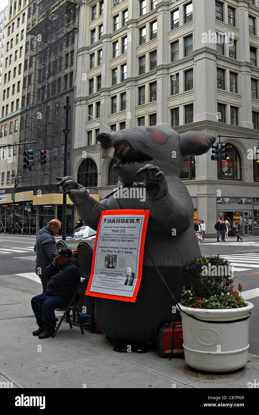 New York Rat Stock Photos & New York Rat Stock Images - Alamy