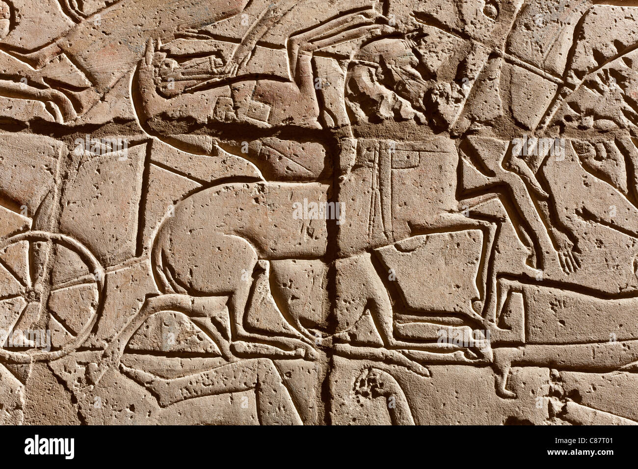 Relief work showing military campaigns of Ramesses II at the Ramesseum ...