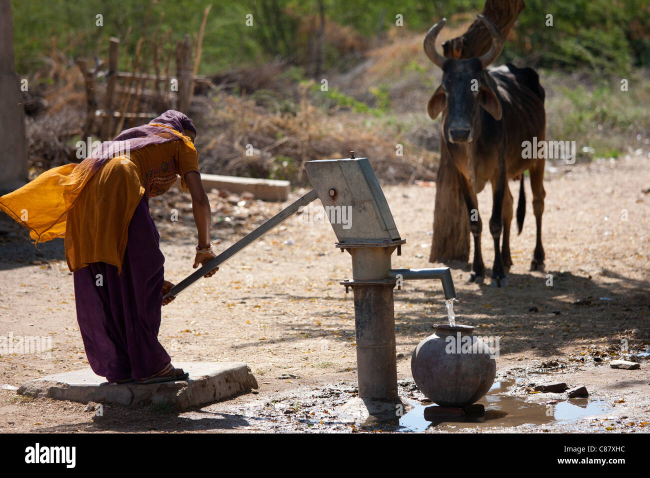 Indian woman pumping water from a well at Jawali village in Rajasthan ...
