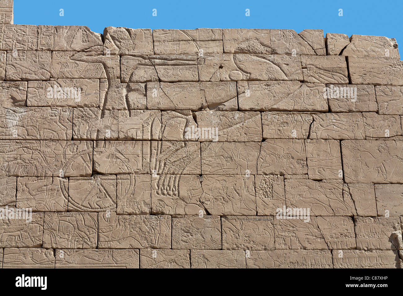 Relief work Of Ramesses II in his chariot at the Ramesseum, Luxor Egypt ...