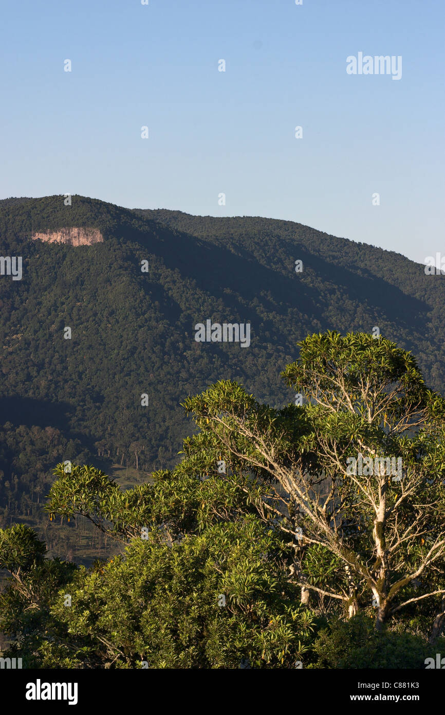 Rainforest mountains inland from the Gold Coast, Queensland Australia ...