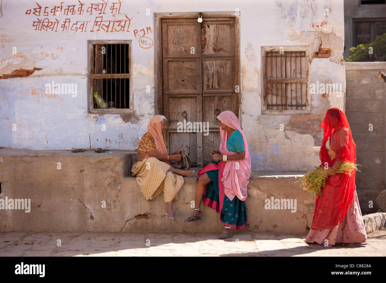 Indian local women in Narlai village in Rajasthan, Northern India Stock ...