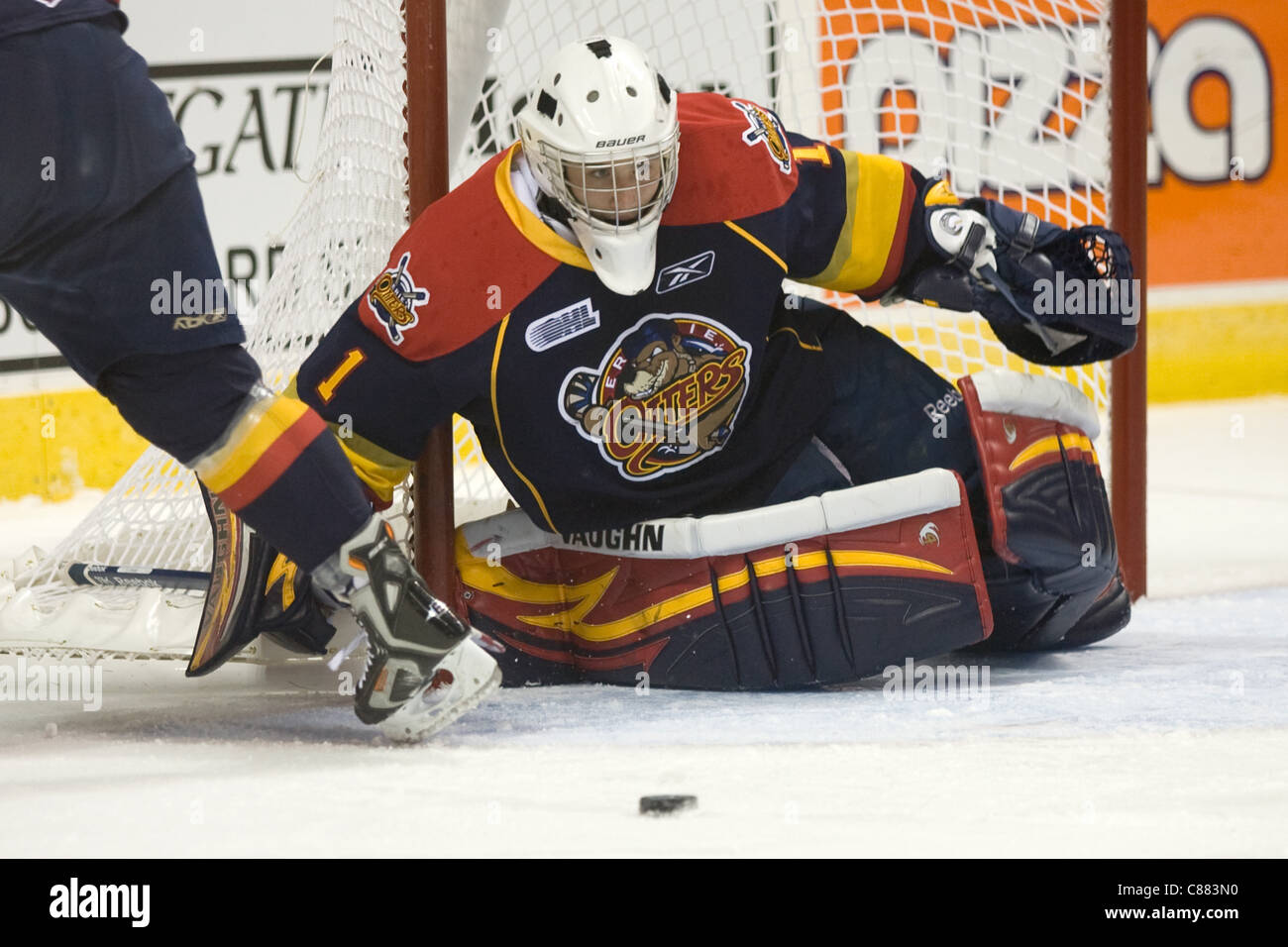 London otters hi-res stock photography and images - Alamy