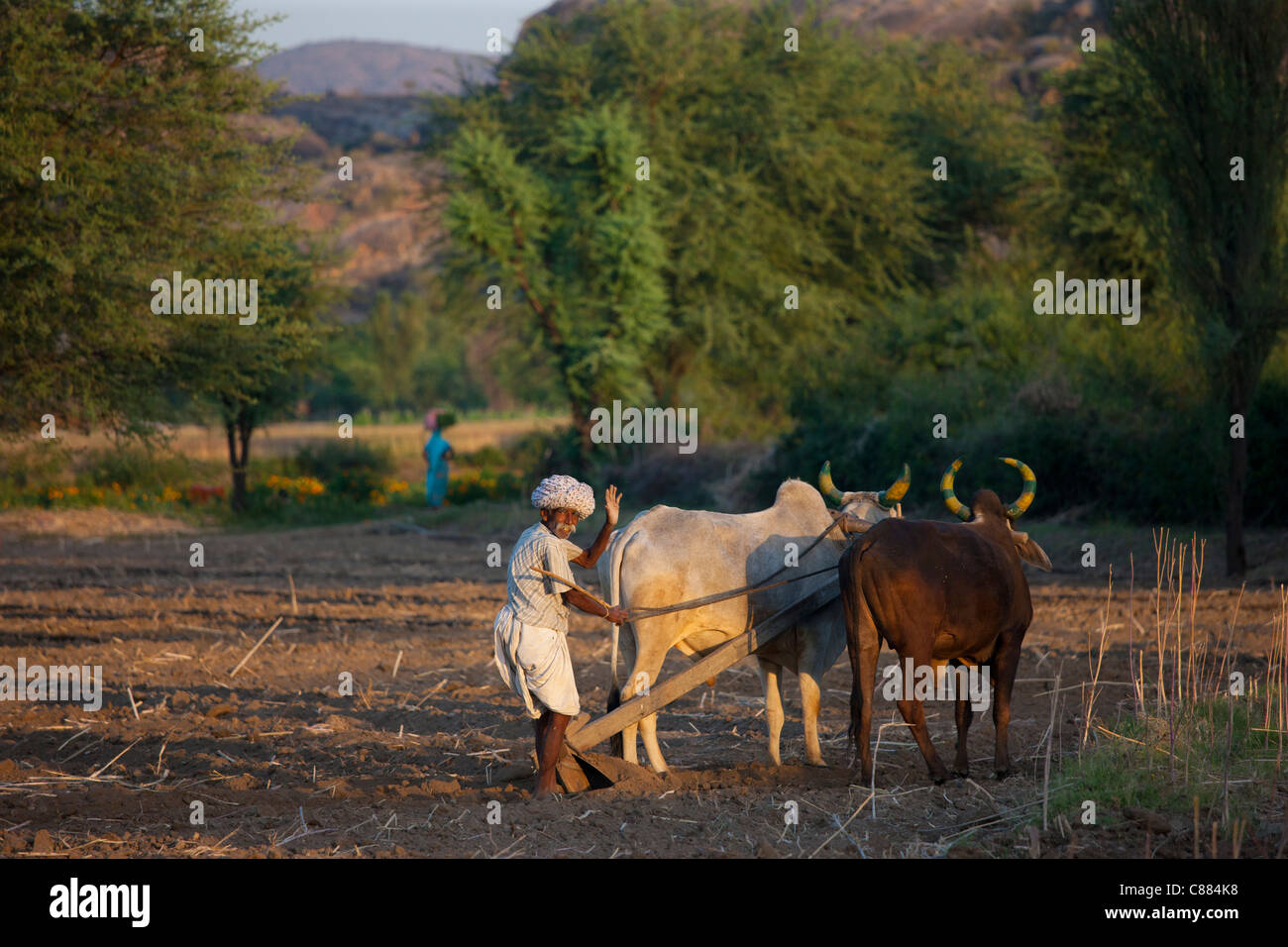 Hand plough hi-res stock photography and images - Alamy