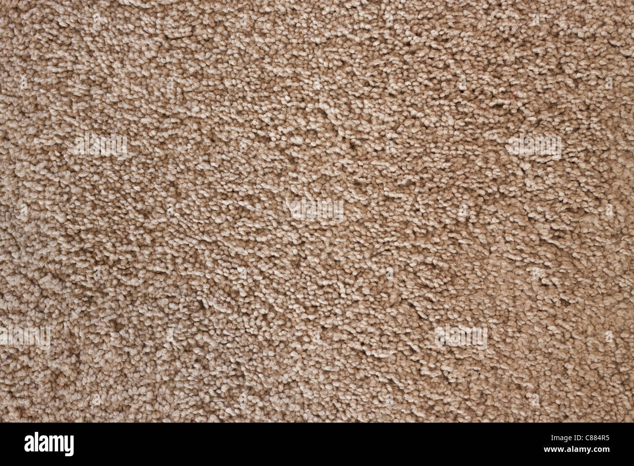 Carpet sample hi-res stock photography and images - Alamy