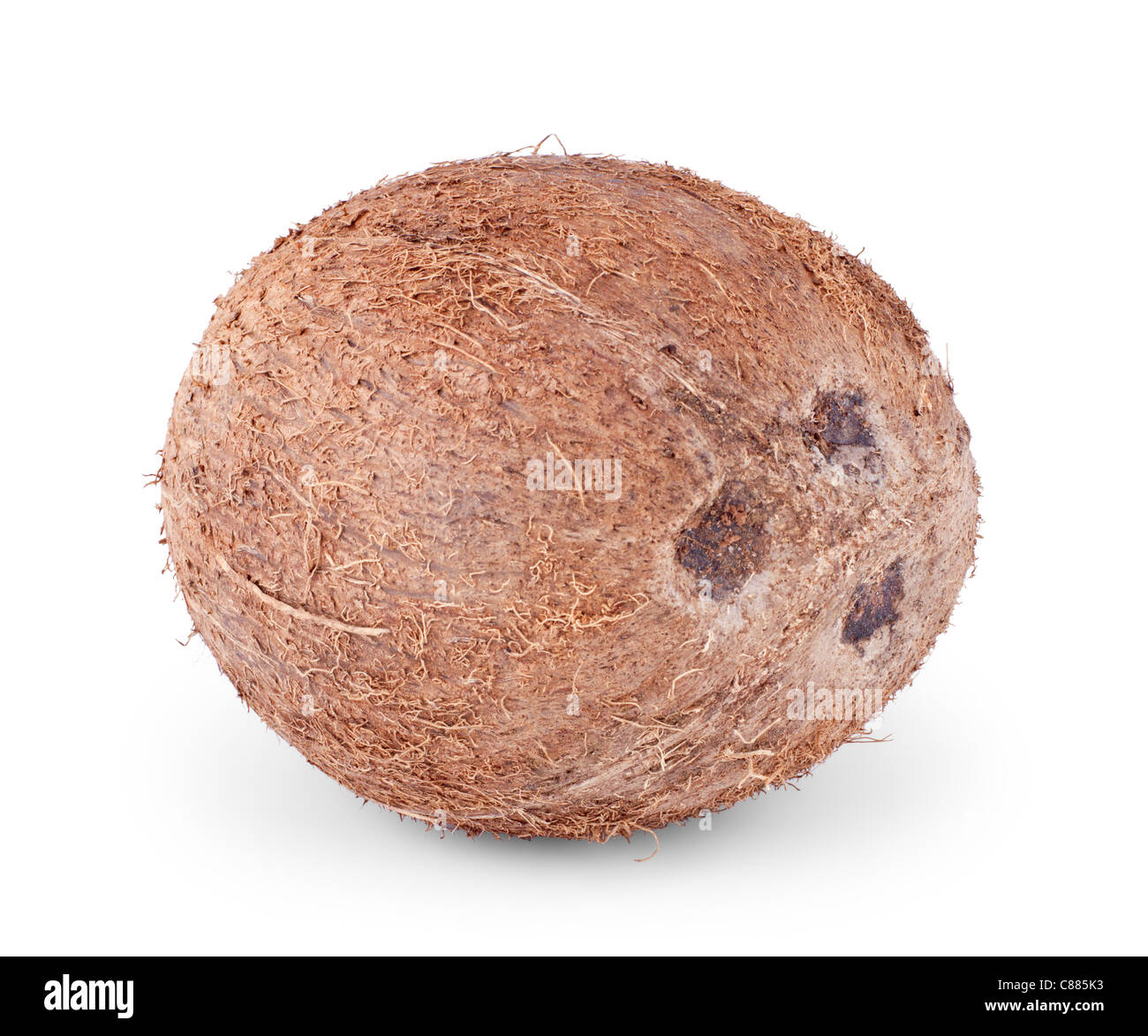 Exotic coconut husk shell hi-res stock photography and images - Alamy