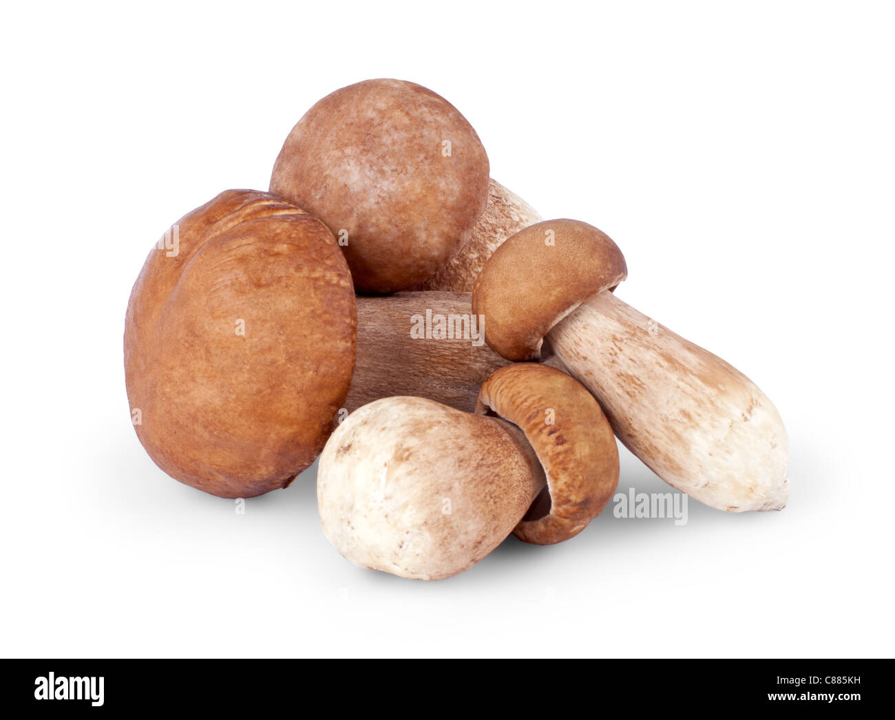 Four ceps isolated on white background Stock Photo - Alamy