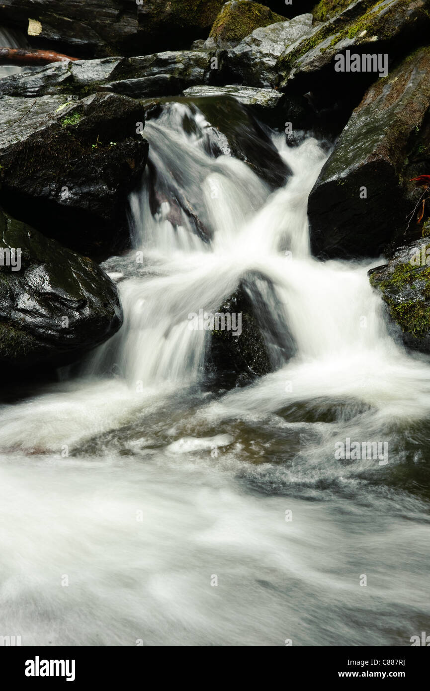 closeup of a mountain stream in vertical Stock Photo - Alamy