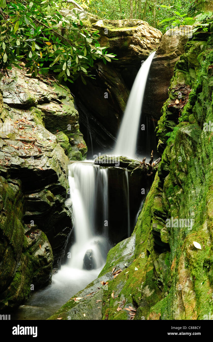 Waterfall surrounded by trees hi-res stock photography and images - Alamy
