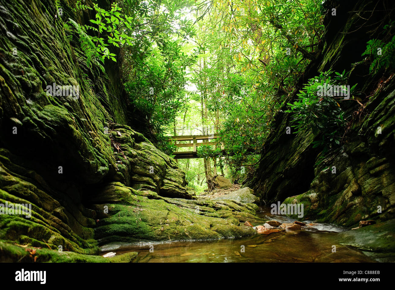 looking up at a bridge over a mountain creek Stock Photo - Alamy