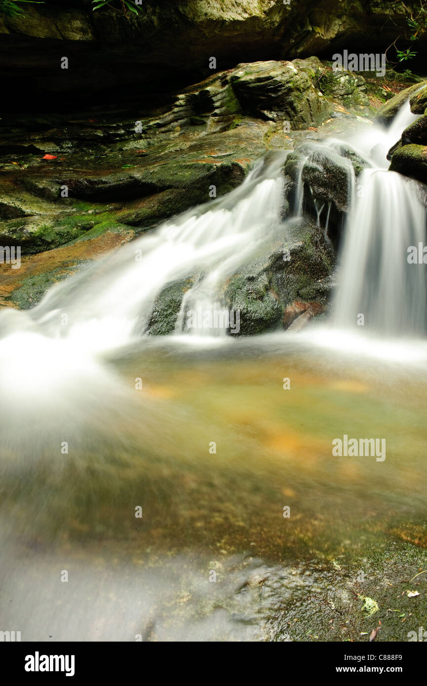 Beautiful flowing creek fall color landscape with small waterfall hi ...