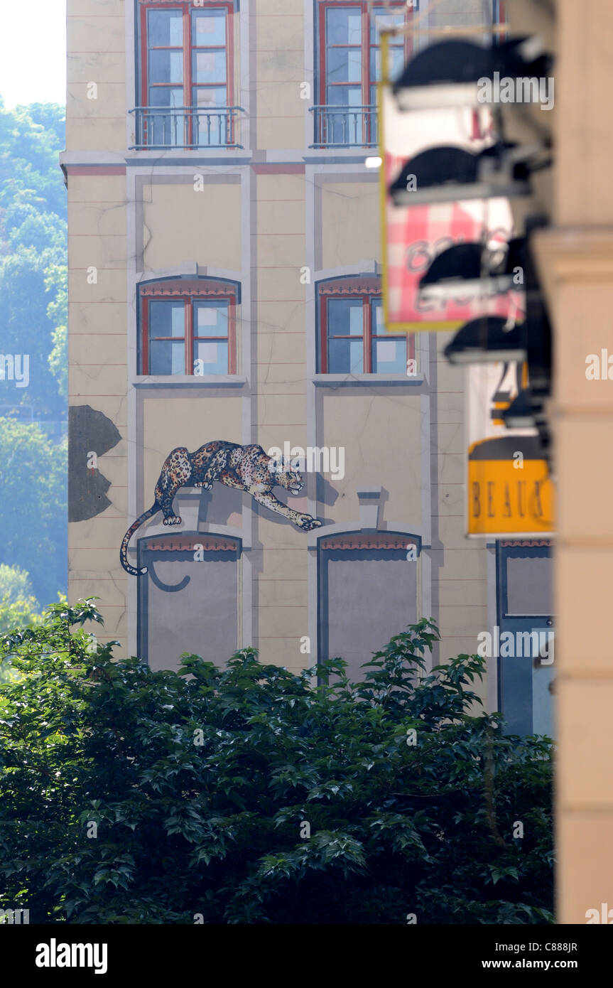 cheetah painted on the building wall in Lyon city, France Stock Photo ...