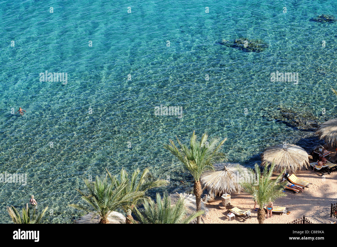 Red Sea coral reefs in Taba, Egypt Stock Photo - Alamy