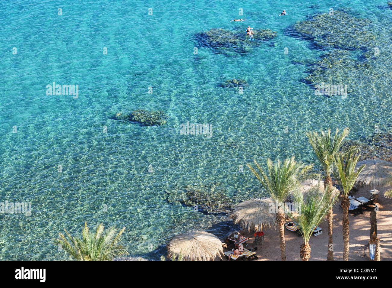 Red Sea coral reefs in Taba, Egypt Stock Photo - Alamy