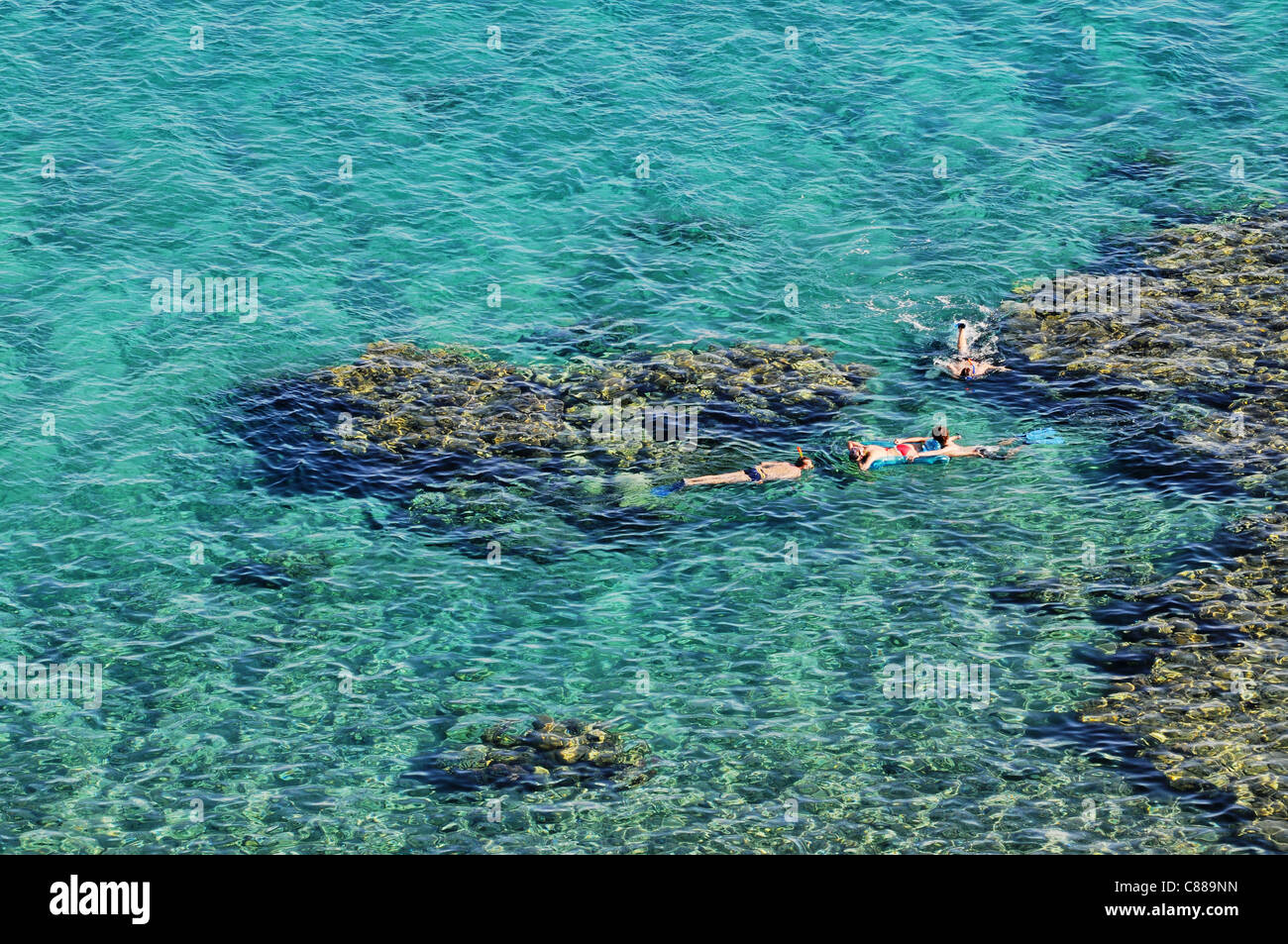 Red Sea coral reefs in Taba, Egypt Stock Photo - Alamy
