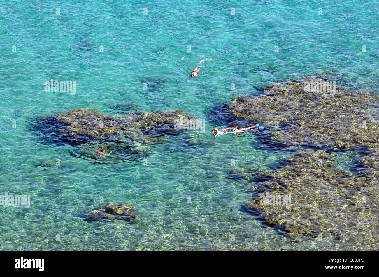 Red Sea coral reefs in Taba, Egypt Stock Photo - Alamy